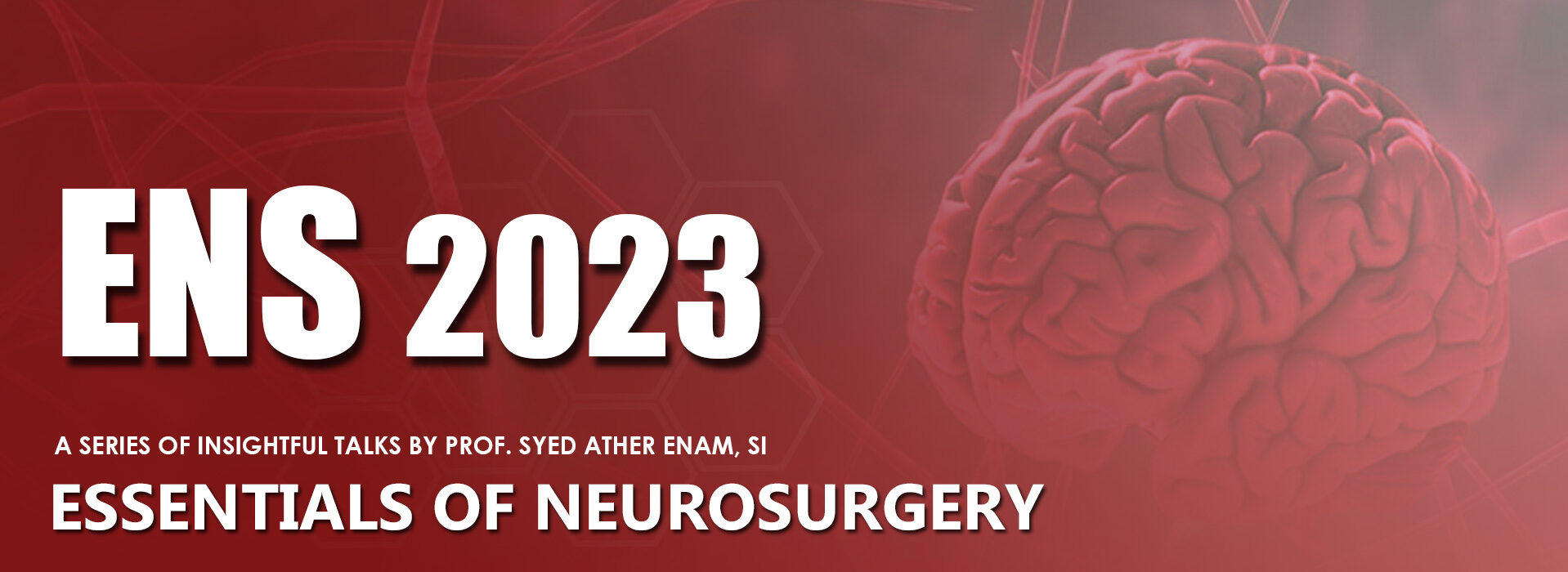 PANS – Pakistan Academy of Neurological Surgery